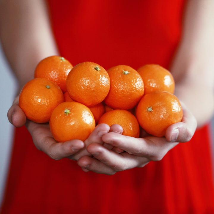 Citrus: The Classic Mexican Cold Remedy | Verve Culture